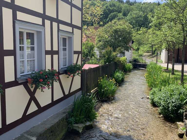 Frankendorf: Wanderungen und Rundwege | komoot