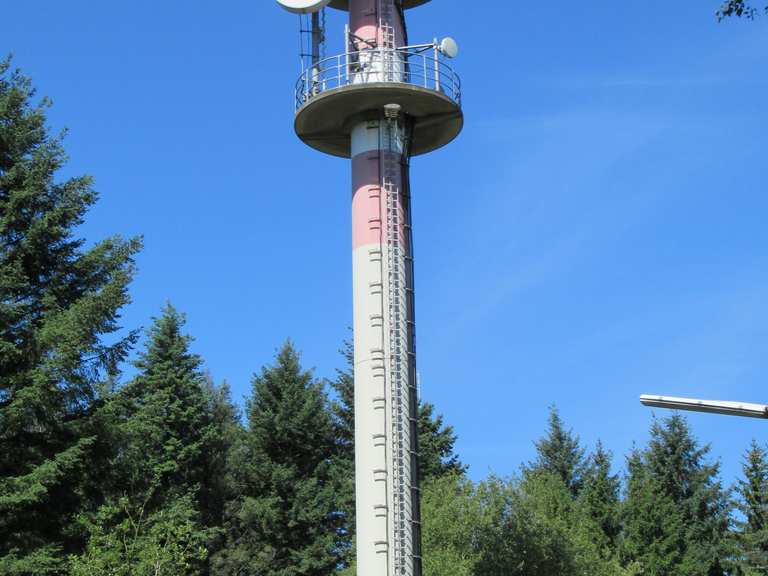 Hohe Derst, 561 m (mit Ritterstein Nr. 301): Wanderungen und Rundwege ...