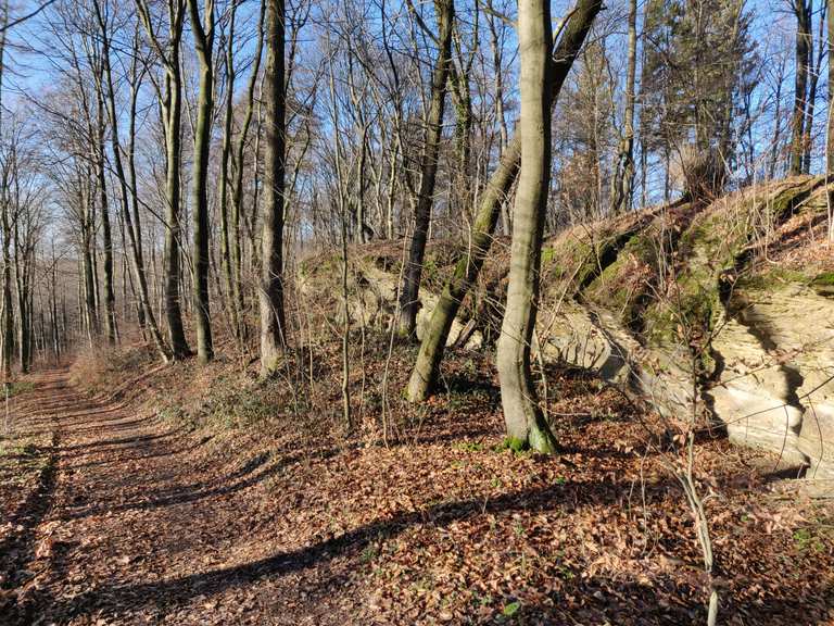 Wallburg Nammer Lager: Wanderungen und Rundwege | komoot