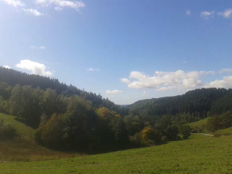 Ausblick vom Landwassereck ins Elztal: Mountainbike-Touren und -Trails ...