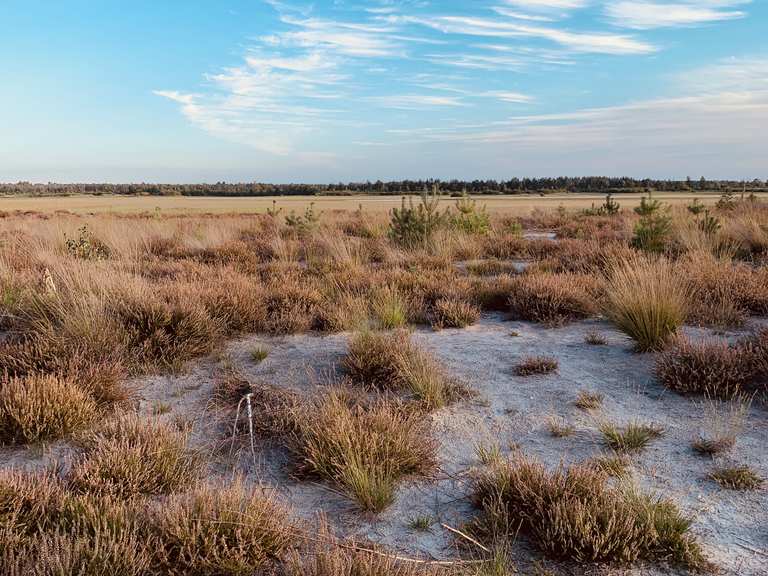 Strabrechtse Heide fietsroutes en kaart | Komoot