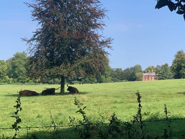 Avington Park Road Cycle Routes and Map | Komoot