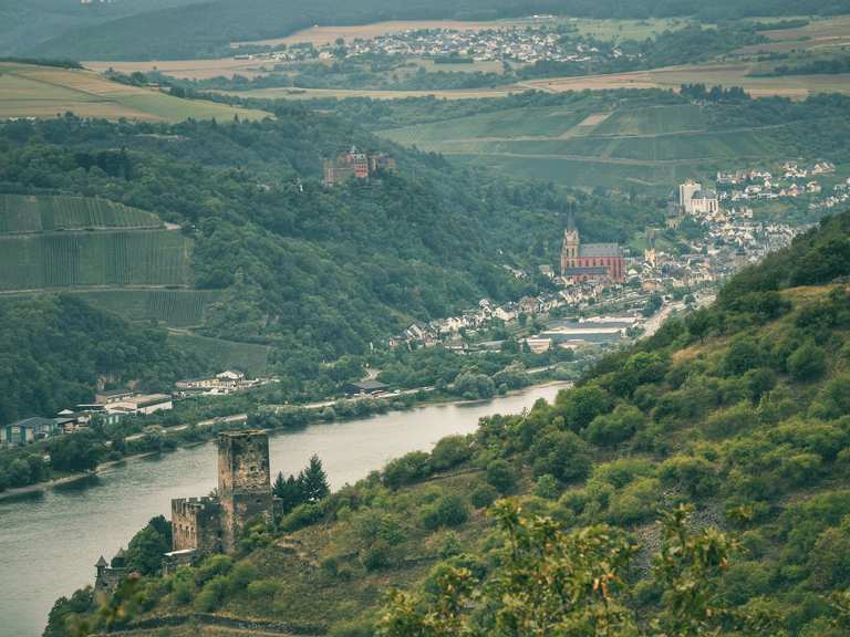 Panoramaweg oberhalb von Kaub – Rheinsteig Lorch bis Kaub Runde von ...