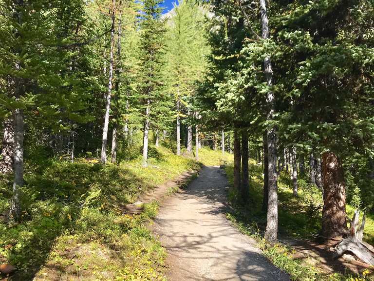 Valle dei Larici : percorsi escursionistici e trekking | Komoot