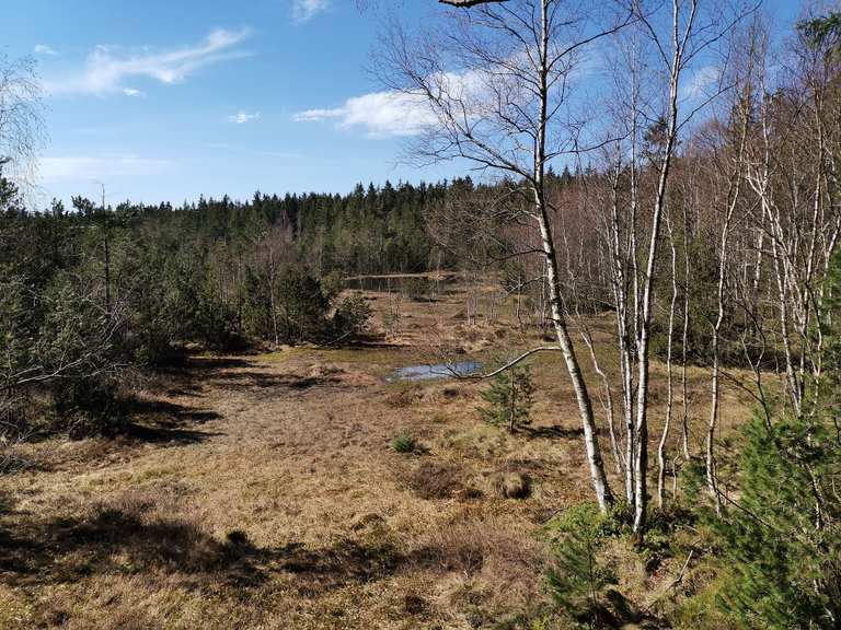 Hormersdorfer Hochmoor: Wanderungen und Rundwege | komoot