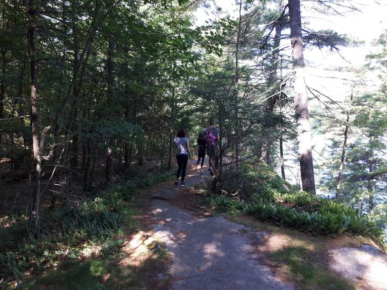 Rock Dunder Conservation Area wandelroutes en hikes | Komoot