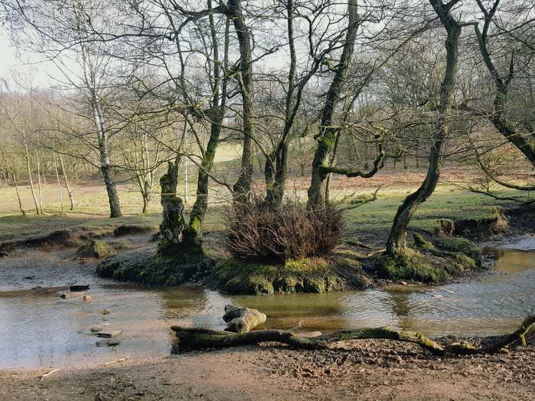 Downs Banks Routes for Walking and Hiking | Komoot