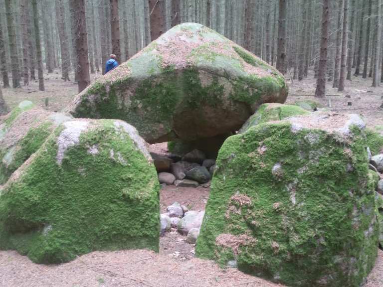 Megalithic tomb in the forest near Röbel – Hiking & Cycling Routes | Komoot