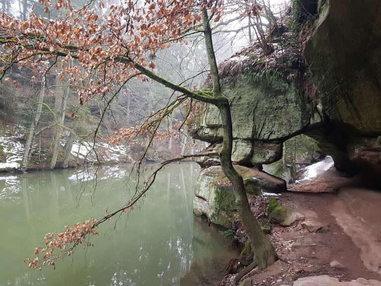 Gustav-Adolf-Höhle - Itinéraires de rando et marche | Komoot