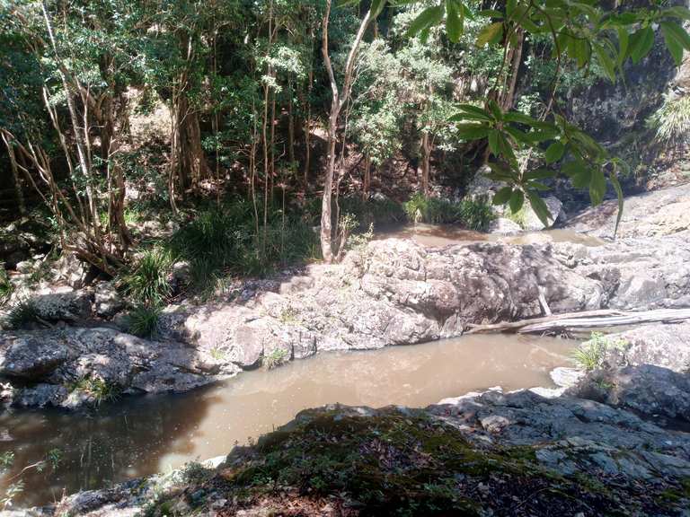 Woolgoolga creek Waterfall: Wanderungen und Rundwege | komoot