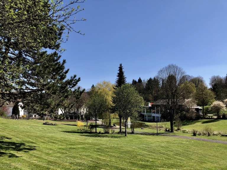 Kurpark Manderscheid: Wanderungen und Rundwege | komoot