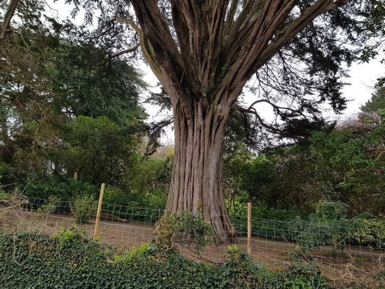 Trelissick - Cycle Routes and Map | Komoot