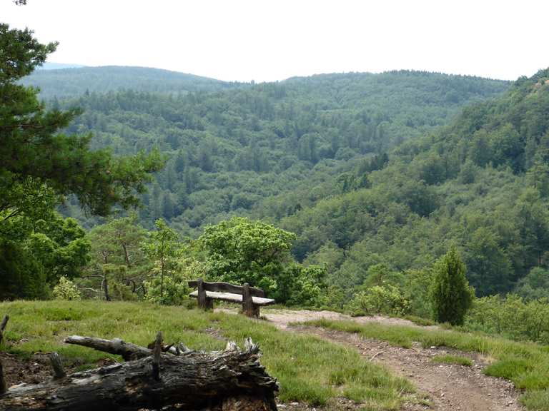 Schluchtentour bei Eisenach | Wanderung | Komoot