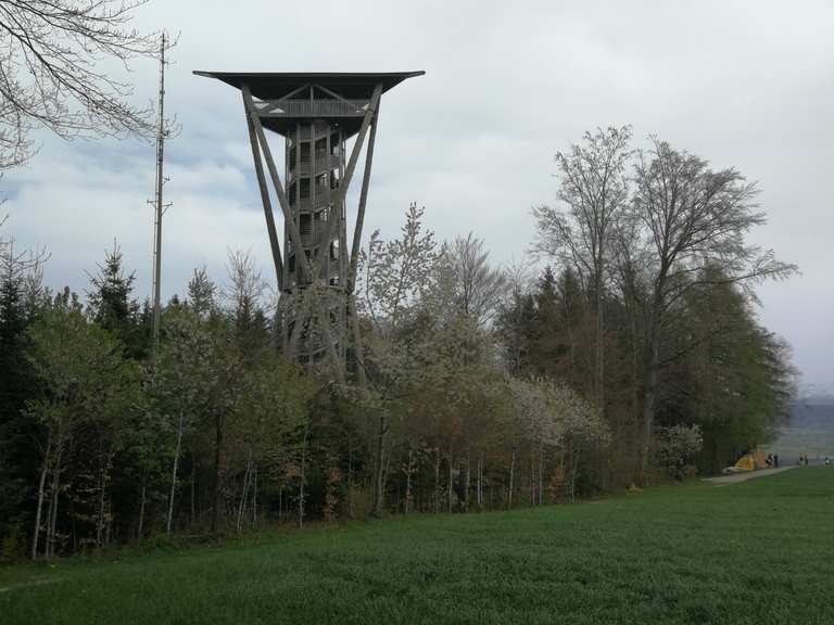 Wiler Turm: Wanderungen und Rundwege | komoot