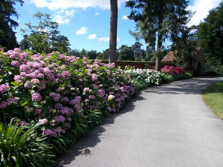 Sandringham House and Gardens - Cycle Routes and Map | Komoot