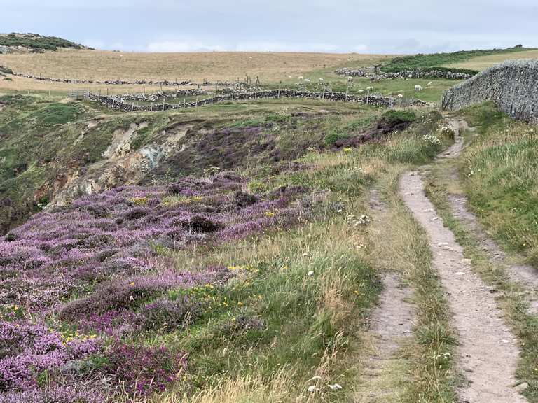 Violet rocks Routes for Walking and Hiking | Komoot