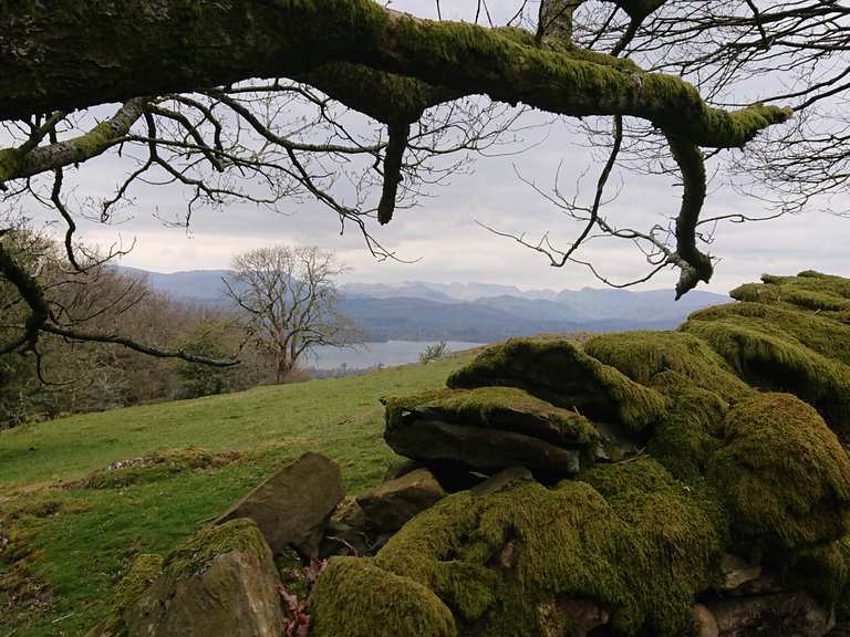 Orrest Head Routes for Walking and Hiking | Komoot