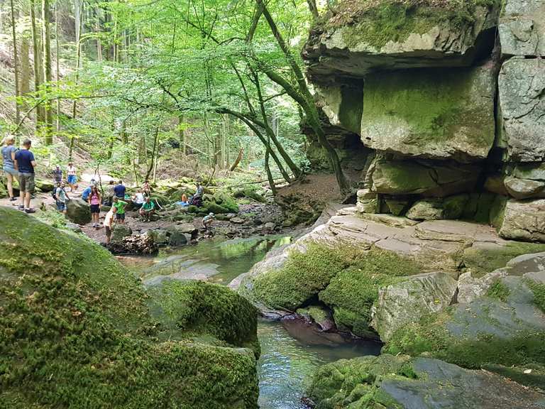 Schönste Stelle im Monbachtal - Itinéraires de rando et marche | Komoot