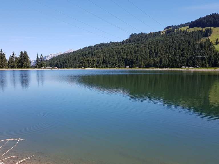 Filzalmsee: Wanderungen und Rundwege | komoot