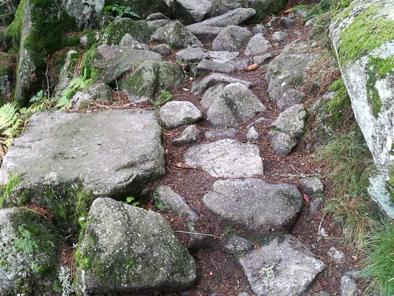 Chemin rocailleux Routes for Walking and Hiking | Komoot