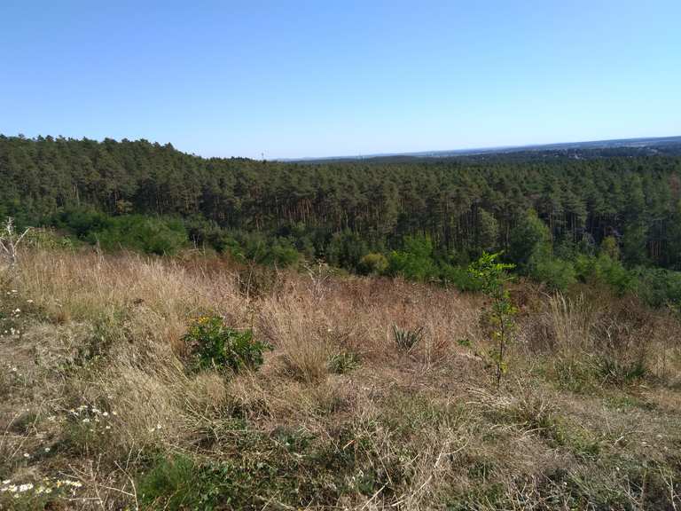 Schuttberg - Tolle Aussicht - Mountain Bike Trails & Tracks | Komoot