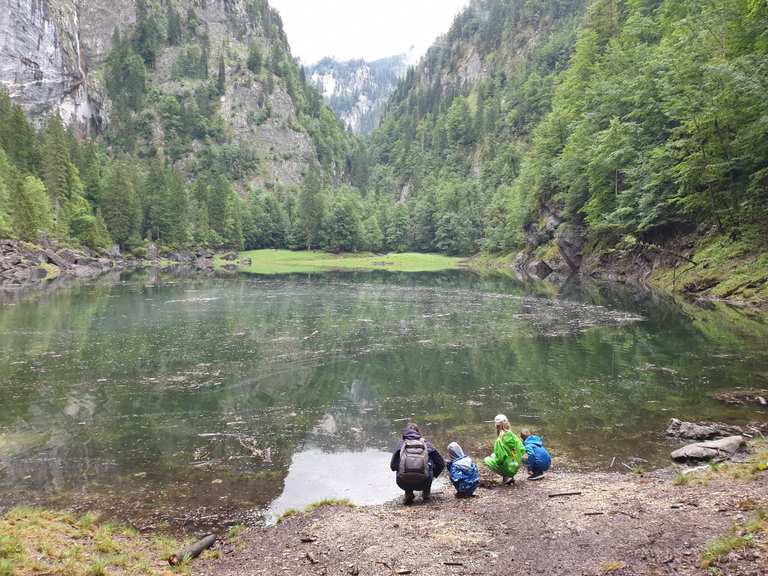 Kammersee und Traun-Ursprung: Wanderungen und Rundwege | komoot