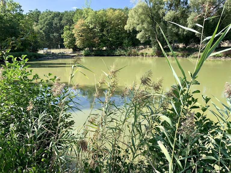 Ochsensee : Radtouren und Radwege | komoot