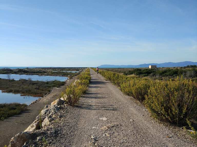 Pista ciclabile nella foce a delta dell'Ombrone Cycle Routes and Map ...