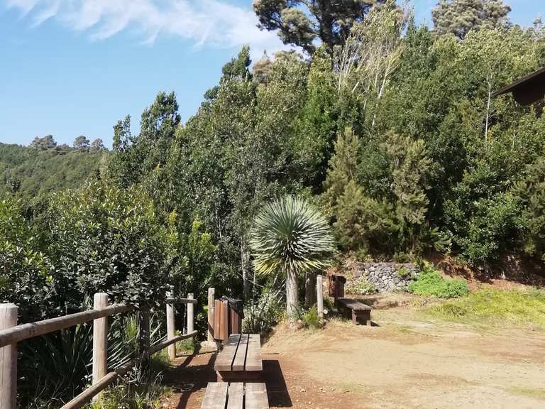 Mirador de las Barandas Routes for Walking and Hiking | Komoot