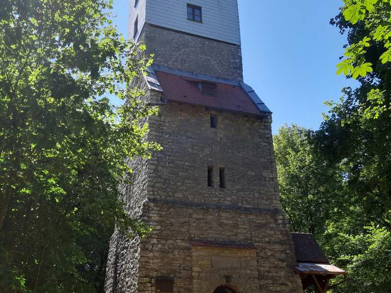 Moritzberg : Radtouren und Radwege | komoot