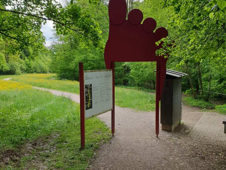 Barfußpfad: Wanderungen und Rundwege | komoot