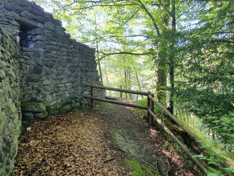 Ruine Helfenberg Routes for Walking and Hiking | Komoot