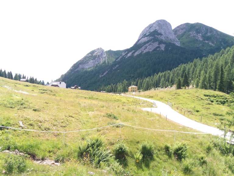 Passo del Cason di Lanza: Mountainbike-Touren und -Trails | komoot