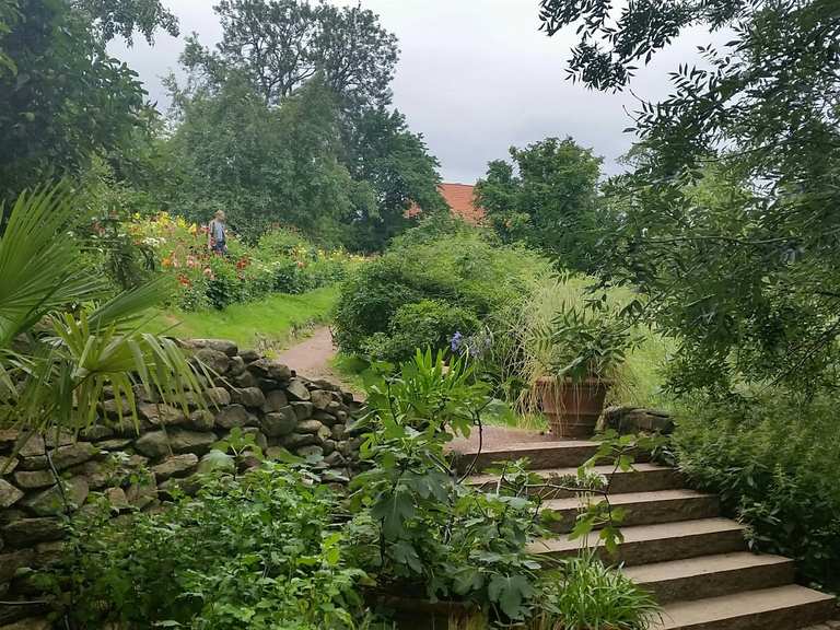 Michaelshof Sammatz/Wendland: Wanderungen und Rundwege | komoot