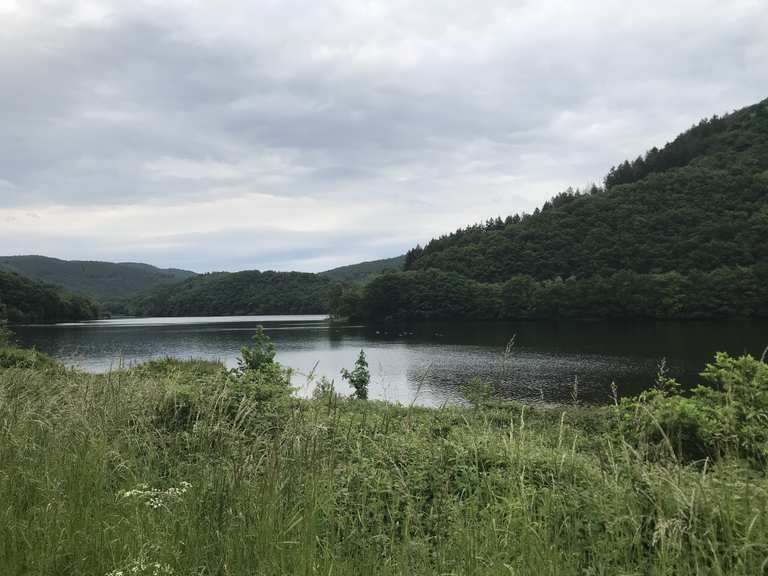 Obersee (Rursee) : Radtouren und Radwege | komoot