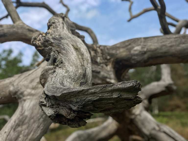 Breeser Grund - Routes for Walking and Hiking | Komoot