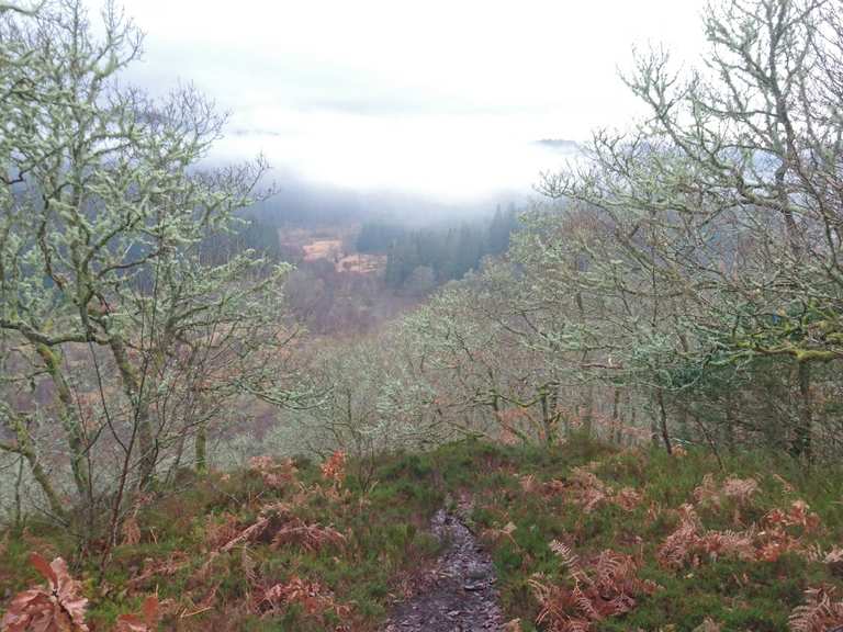 Doon Hill Routes for Walking and Hiking | Komoot