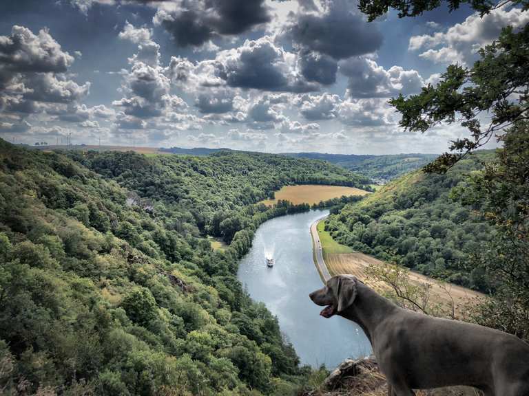 Rochers de Freyr le long de la Meuse wandelroutes en hikes | Komoot