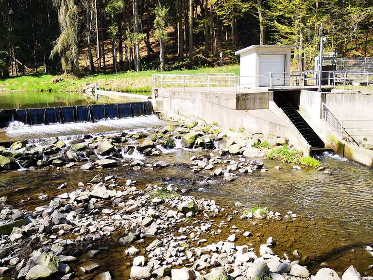 Traumhafter Abschnitt der Freiberger Mulde: Radtouren und Radwege | komoot