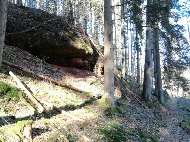 Wasserschaupfad Herschberg Routes for Walking and Hiking | Komoot
