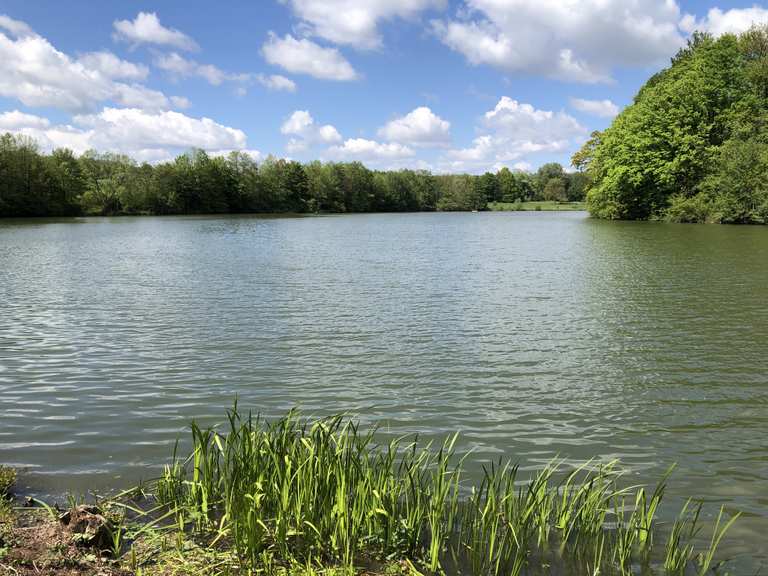 ZA1 - Drei-Seenweg Zaberfeld | Wanderung | Komoot