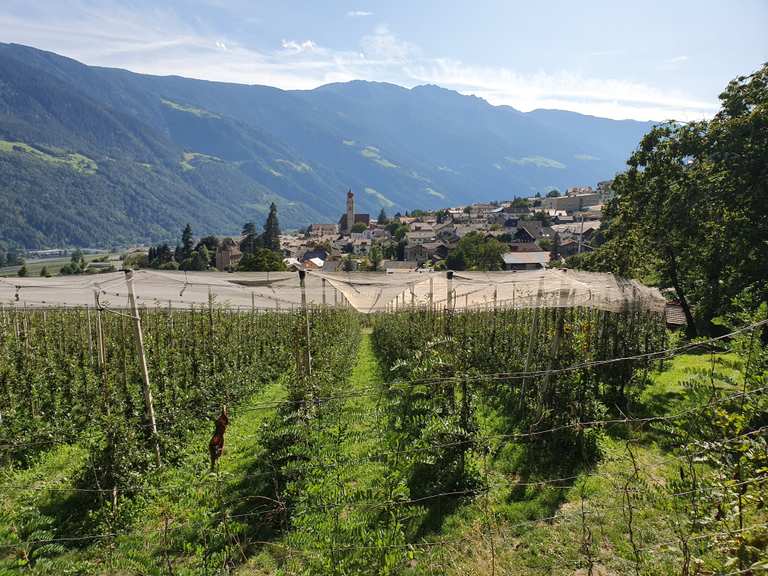 Wegkreuz mit Blick auf Partschins Routes for Walking and Hiking | Komoot
