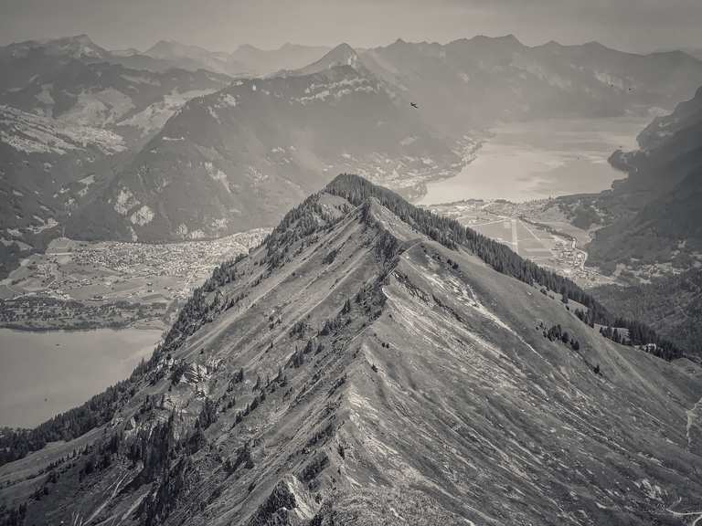 Morgenberghorn: Wanderungen und Rundwege | komoot