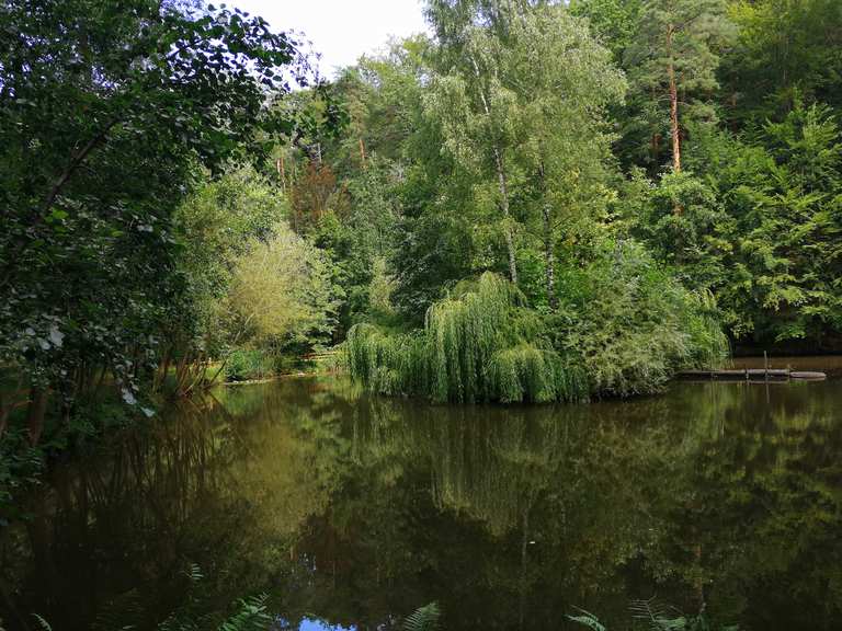 Eichensee: Wanderungen und Rundwege | komoot