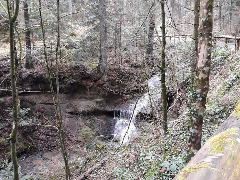Weg zum Gipfel – Altenbergturm Runde von ulzbach am Kocher | Wanderung ...