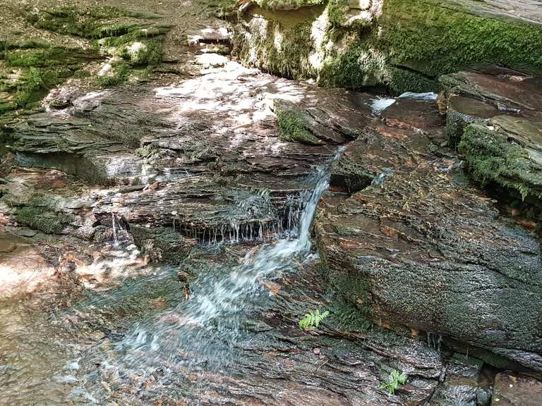 Schönste Stelle im Monbachtal - Itinéraires de rando et marche | Komoot