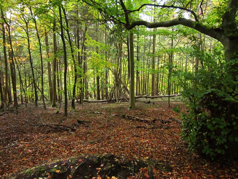 Whiteleaf Cross – Whiteleaf Hill loop from Princes Risborough | hike ...