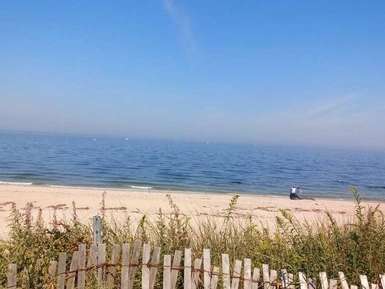 Caumsett State Park Beach loop via Caumsett Salt Marshes | hike | Komoot