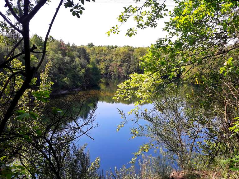 Vogelsberger See Routes for Walking and Hiking | Komoot