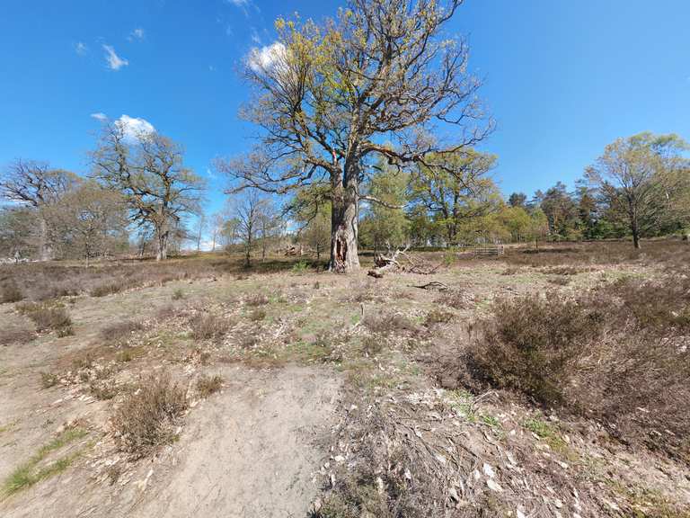 Breeser Grund: Wanderungen und Rundwege | komoot